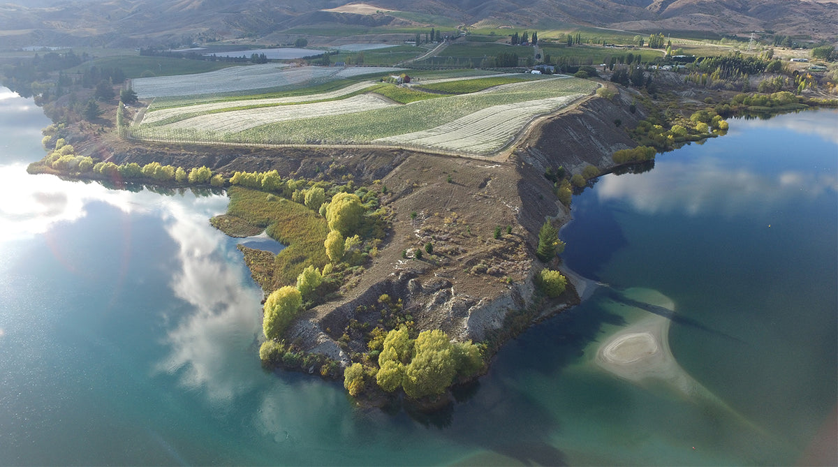 Carrick | Learn More About How To Shop For Wine In Hong Kong