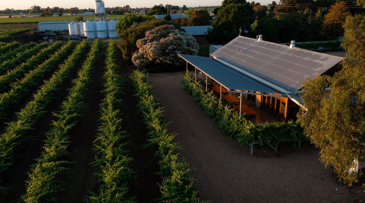 Yarran | Learn More About How To Shop For Wine In Hong Kong